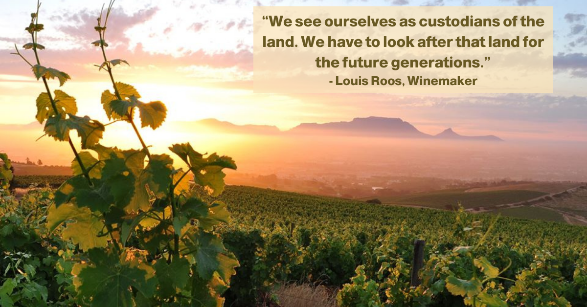 Mooiplaas Wine Estate: In Conversation with Winemaker Louis Roos ...
